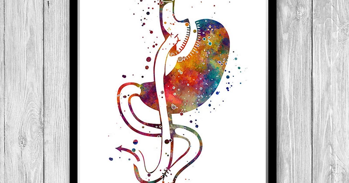 Gastric Bypass/VSG/ WLS Recipes | Samsung Food App