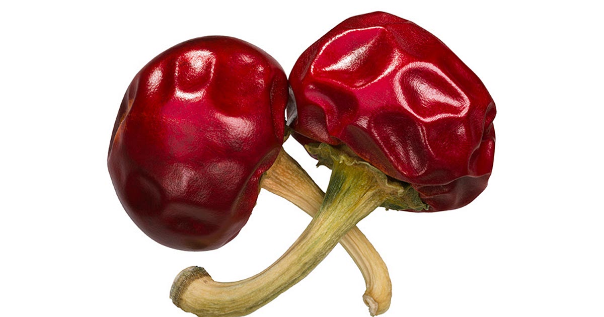 1 Easy Dried cascabel chili Recipes