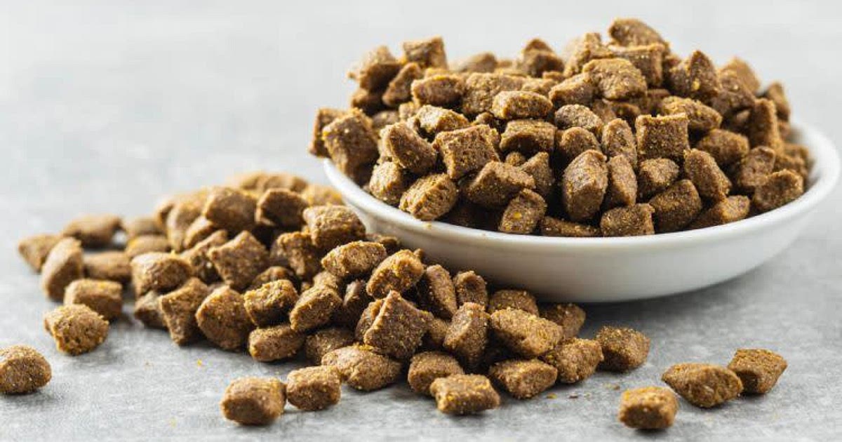 Homemade Dog Kibble Recipe | Samsung Food App