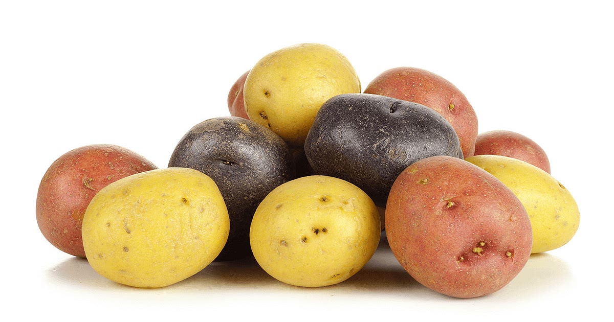 17 Easy Mixed potatoes Recipes