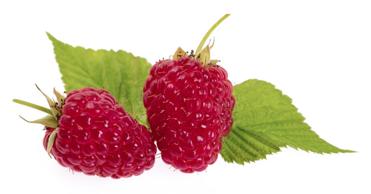 Easy Loganberries Recipes