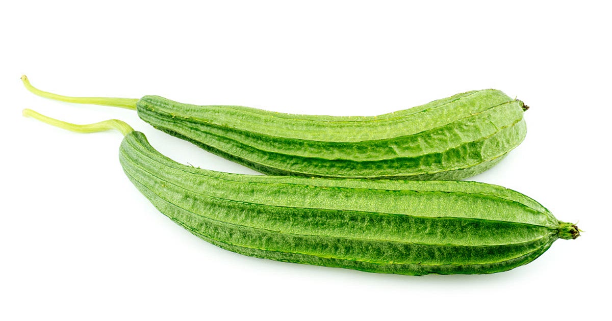 1 Easy Turai Recipes