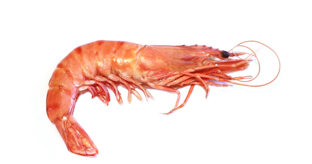 2 Easy Royal red shrimp Recipes