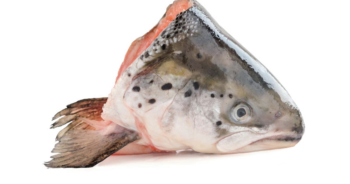1 Easy Salmon head Recipes