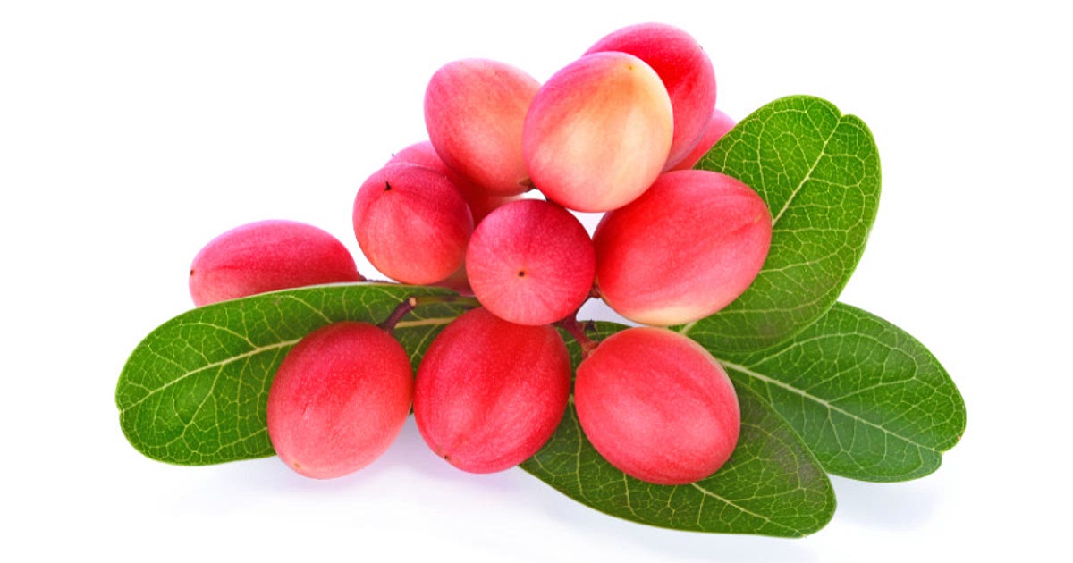 Easy Bengal currant Recipes